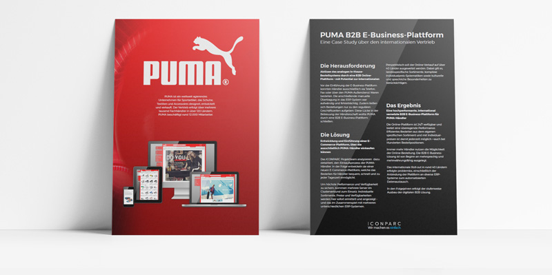 Unabhängiges Softwareunternehmen für B2B, B2C und B2B2C